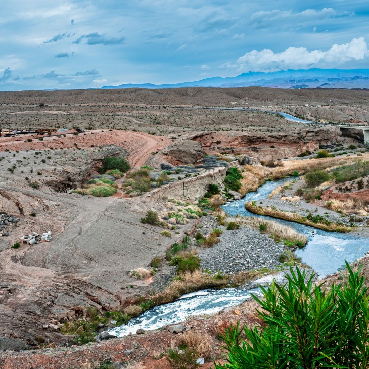 January 2026 – Forrest's Training & Education